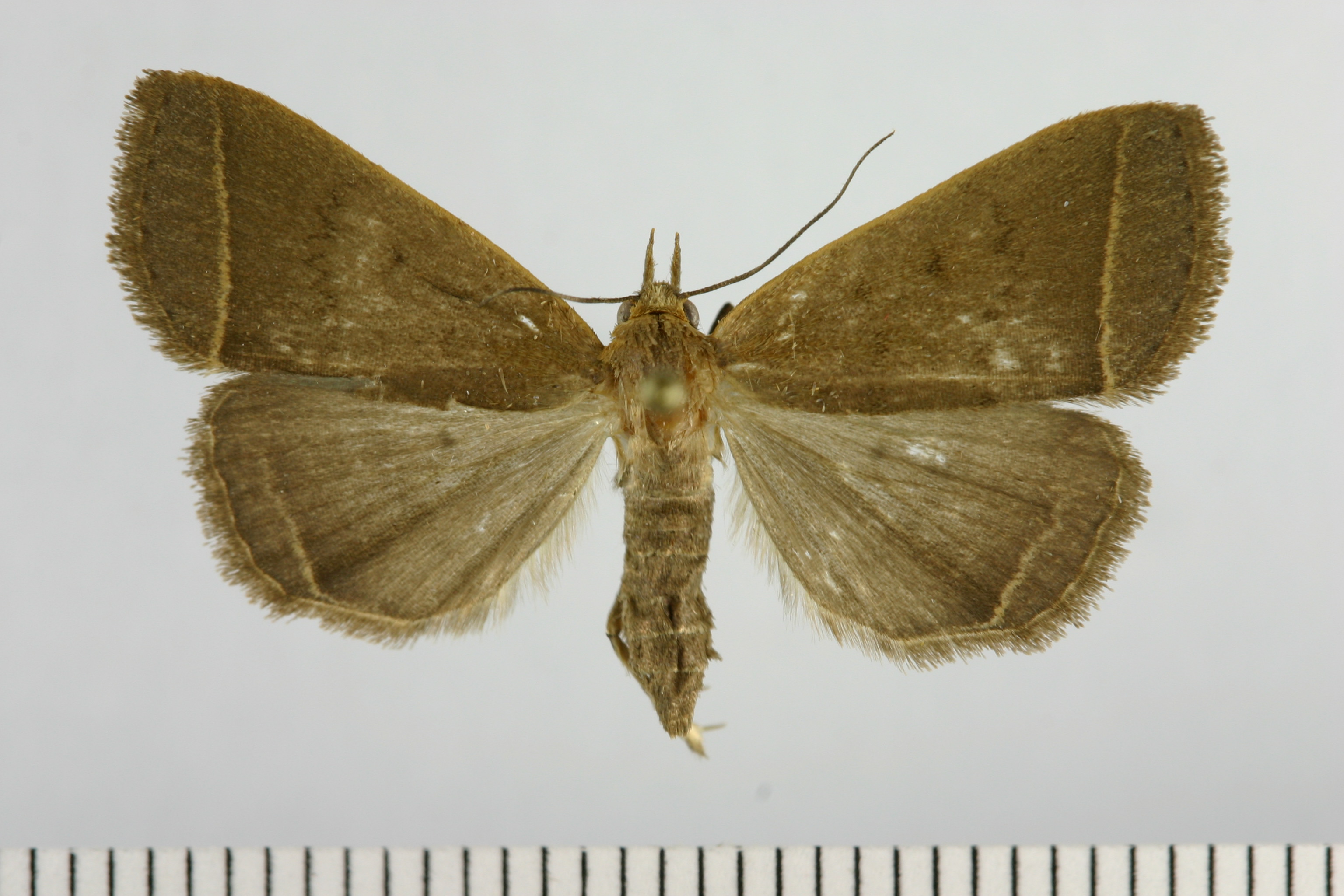 국립생물자원관 한반도의 생물다양성