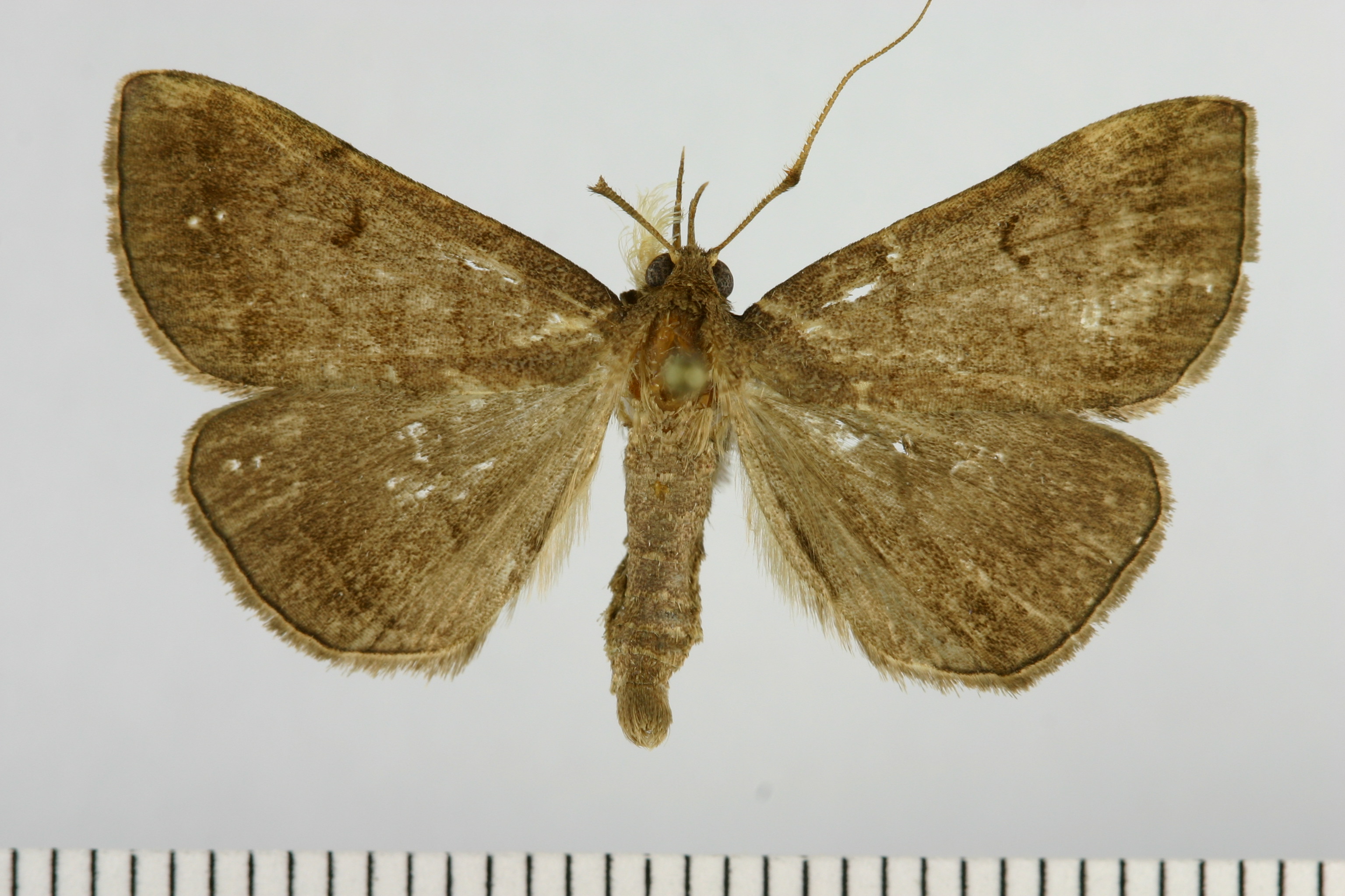 국립생물자원관 한반도의 생물다양성