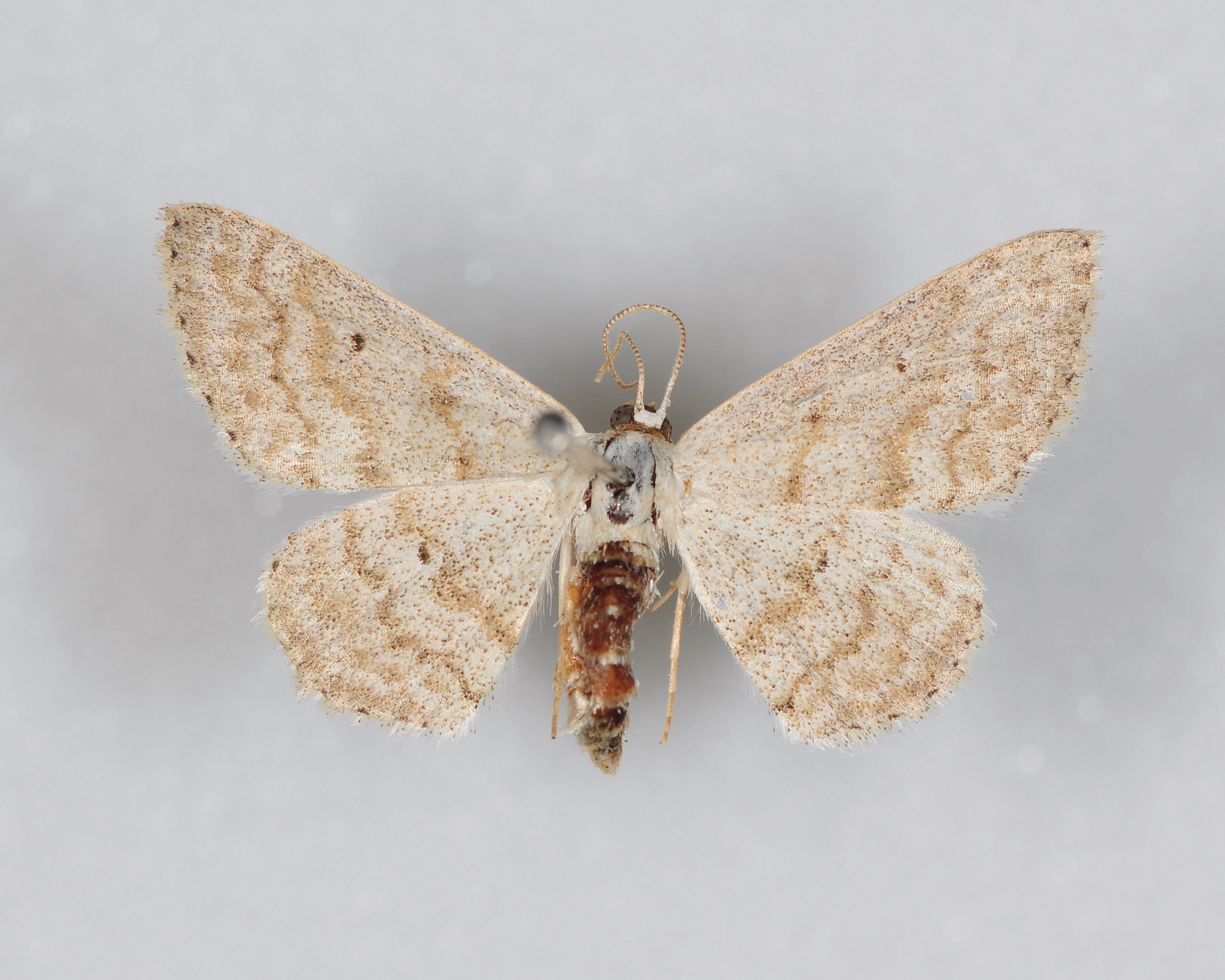 국립생물자원관 한반도의 생물다양성