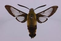 국립생물자원관 한반도의 생물다양성