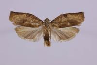 국립생물자원관 한반도의 생물다양성