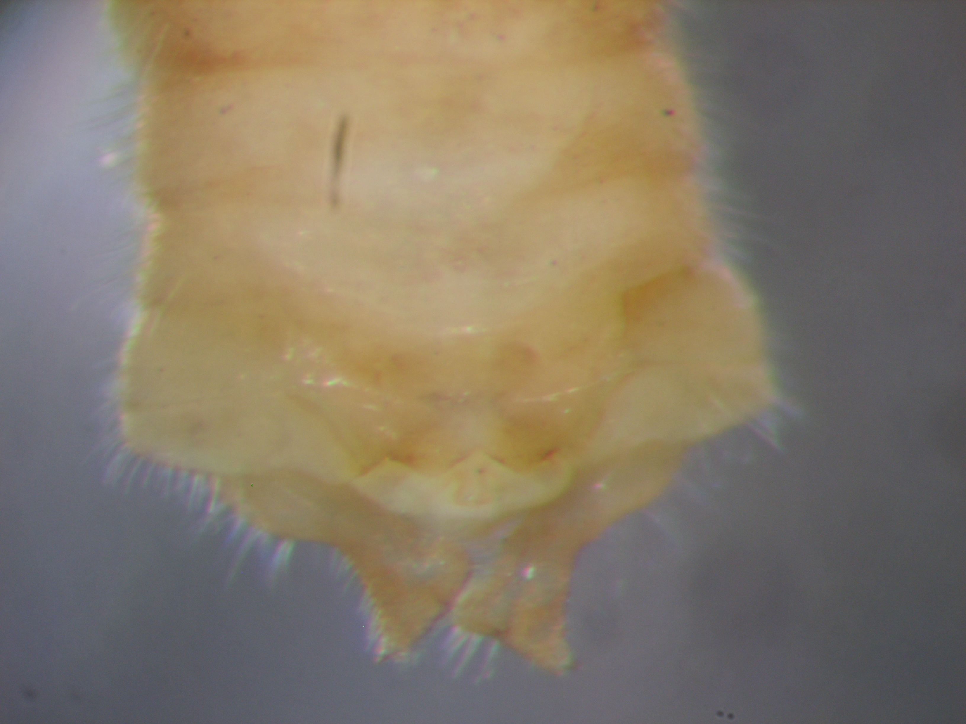 국립생물자원관 한반도의 생물다양성