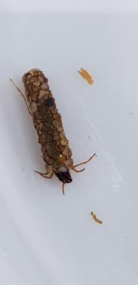 국립생물자원관 한반도의 생물다양성