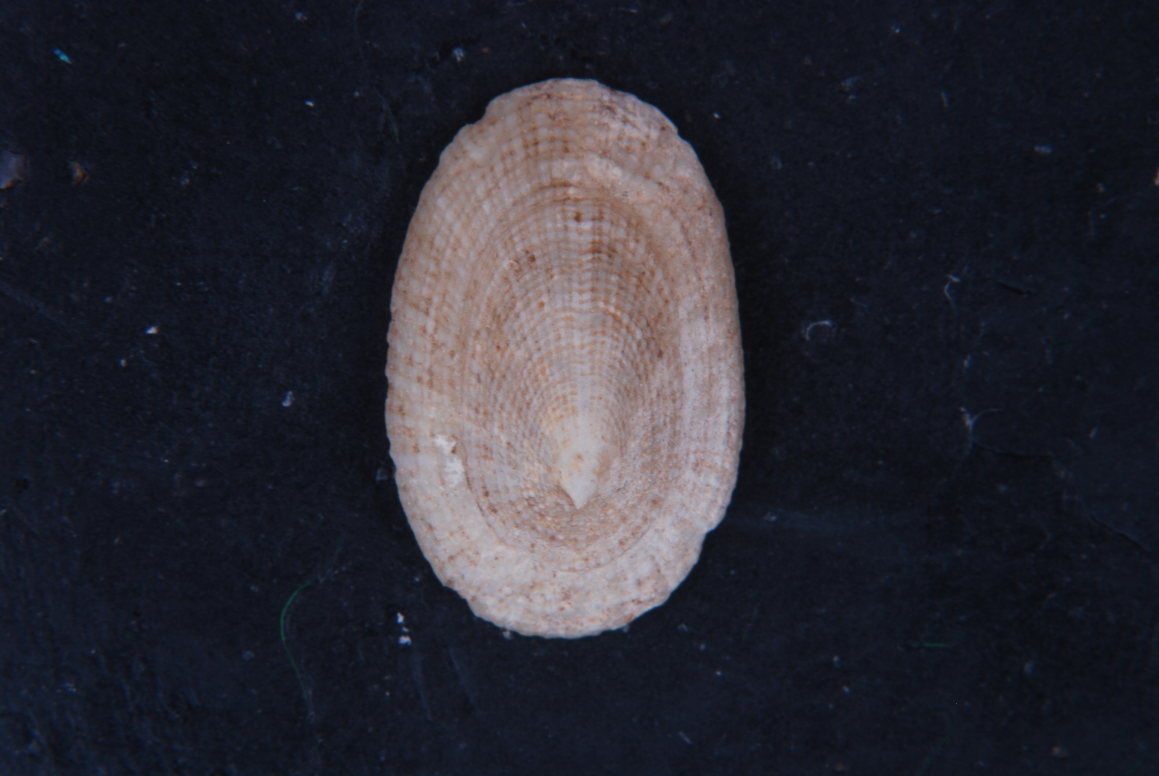 국립생물자원관 한반도의 생물다양성