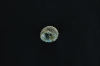 국립생물자원관 한반도의 생물다양성