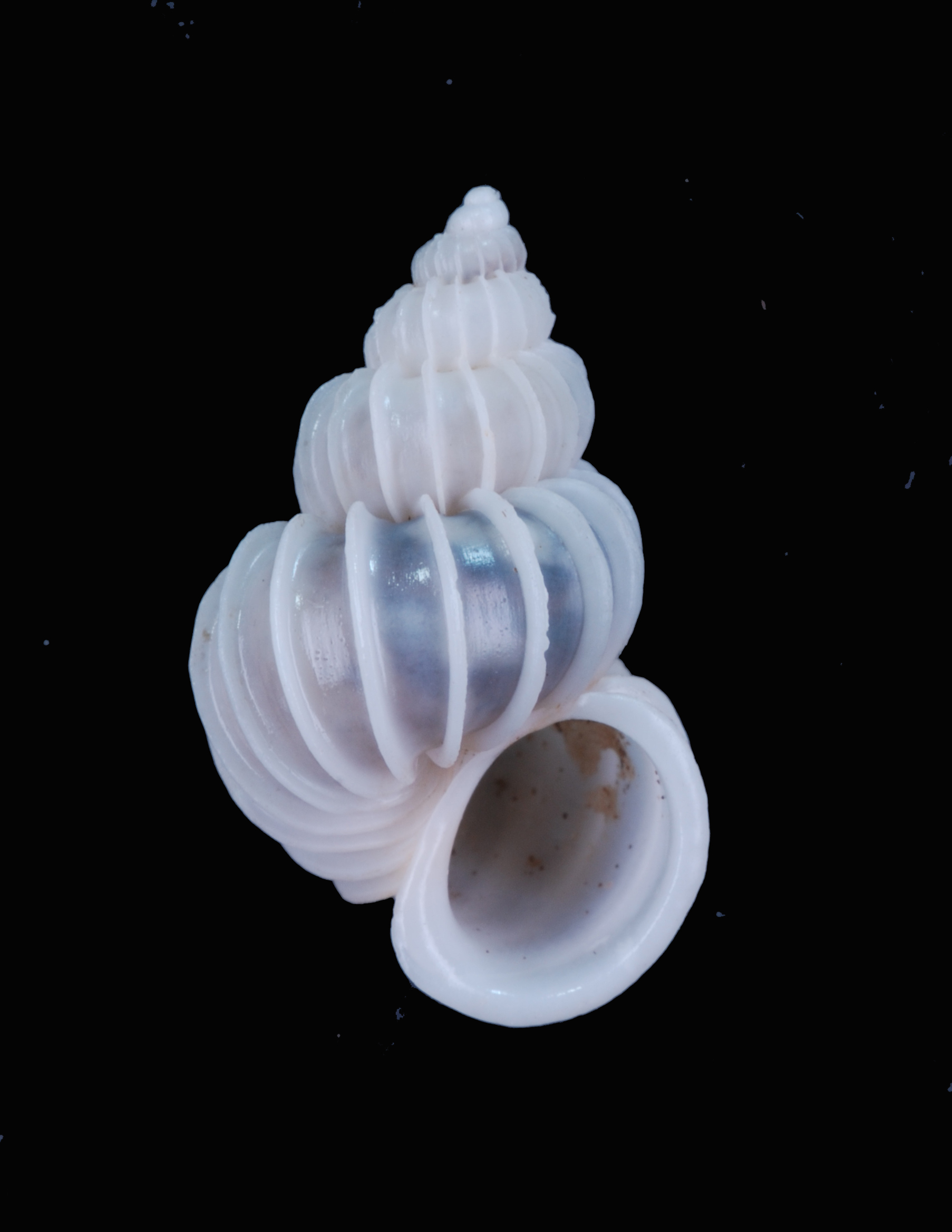 국립생물자원관 한반도의 생물다양성