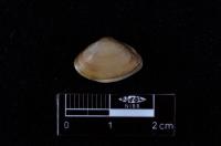 국립생물자원관 한반도의 생물다양성