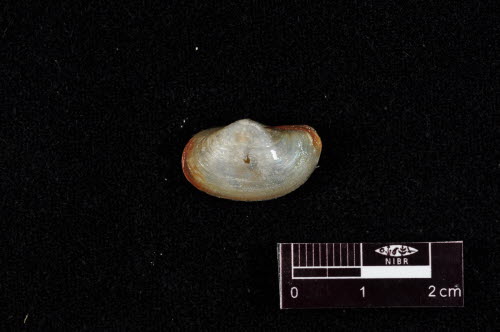 국립생물자원관 한반도의 생물다양성