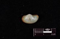 국립생물자원관 한반도의 생물다양성