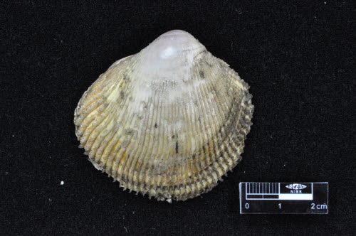 국립생물자원관 한반도의 생물다양성