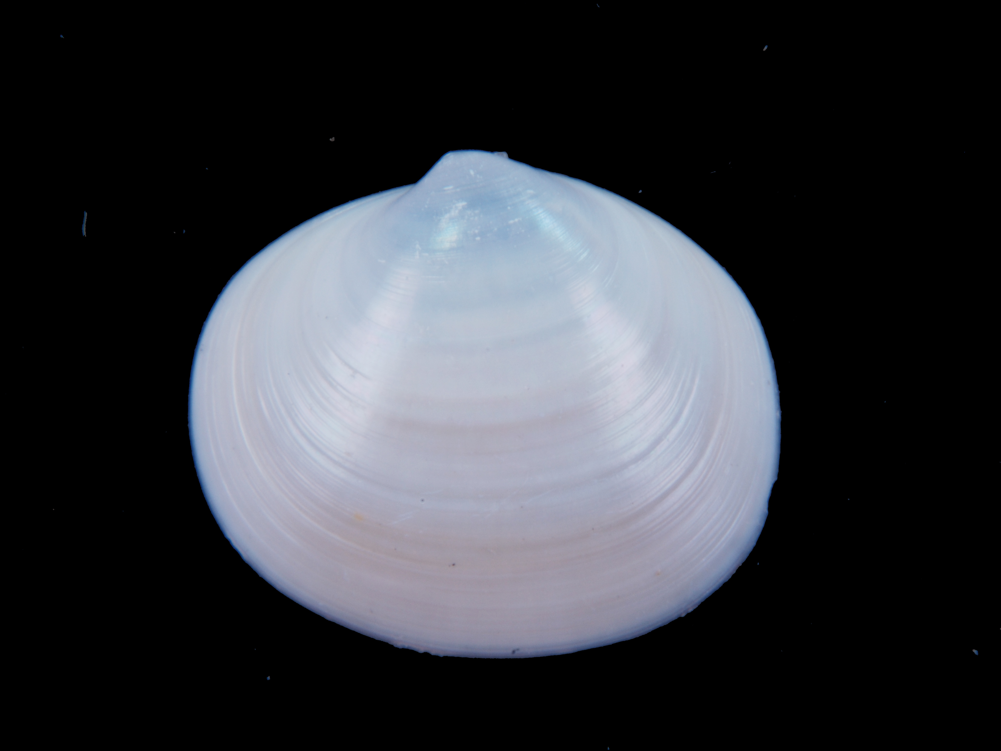 국립생물자원관 한반도의 생물다양성