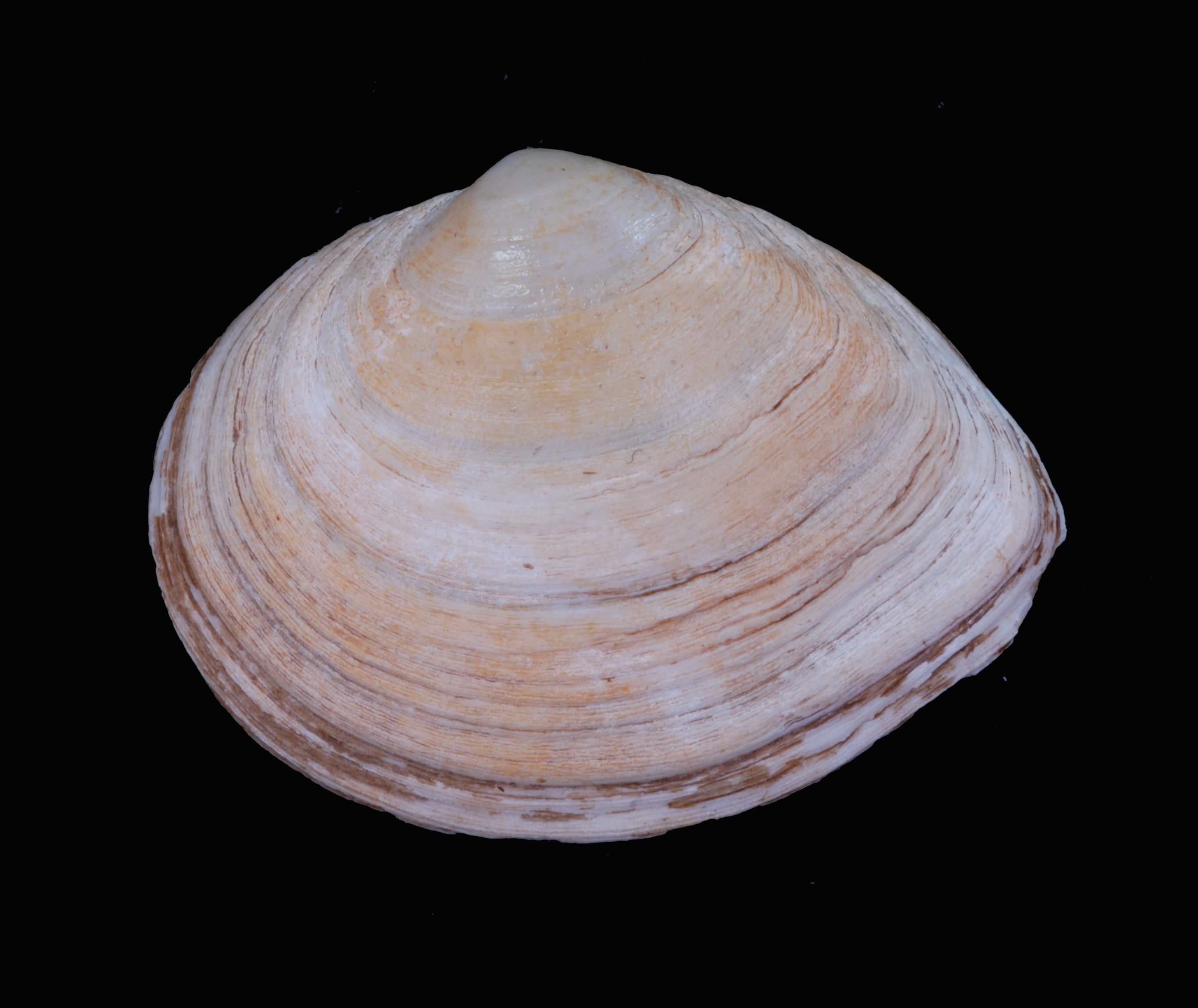 국립생물자원관 한반도의 생물다양성