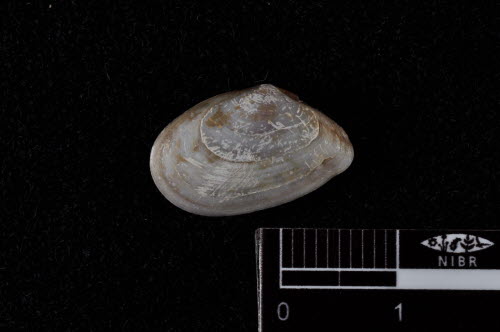 국립생물자원관 한반도의 생물다양성