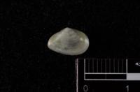 국립생물자원관 한반도의 생물다양성