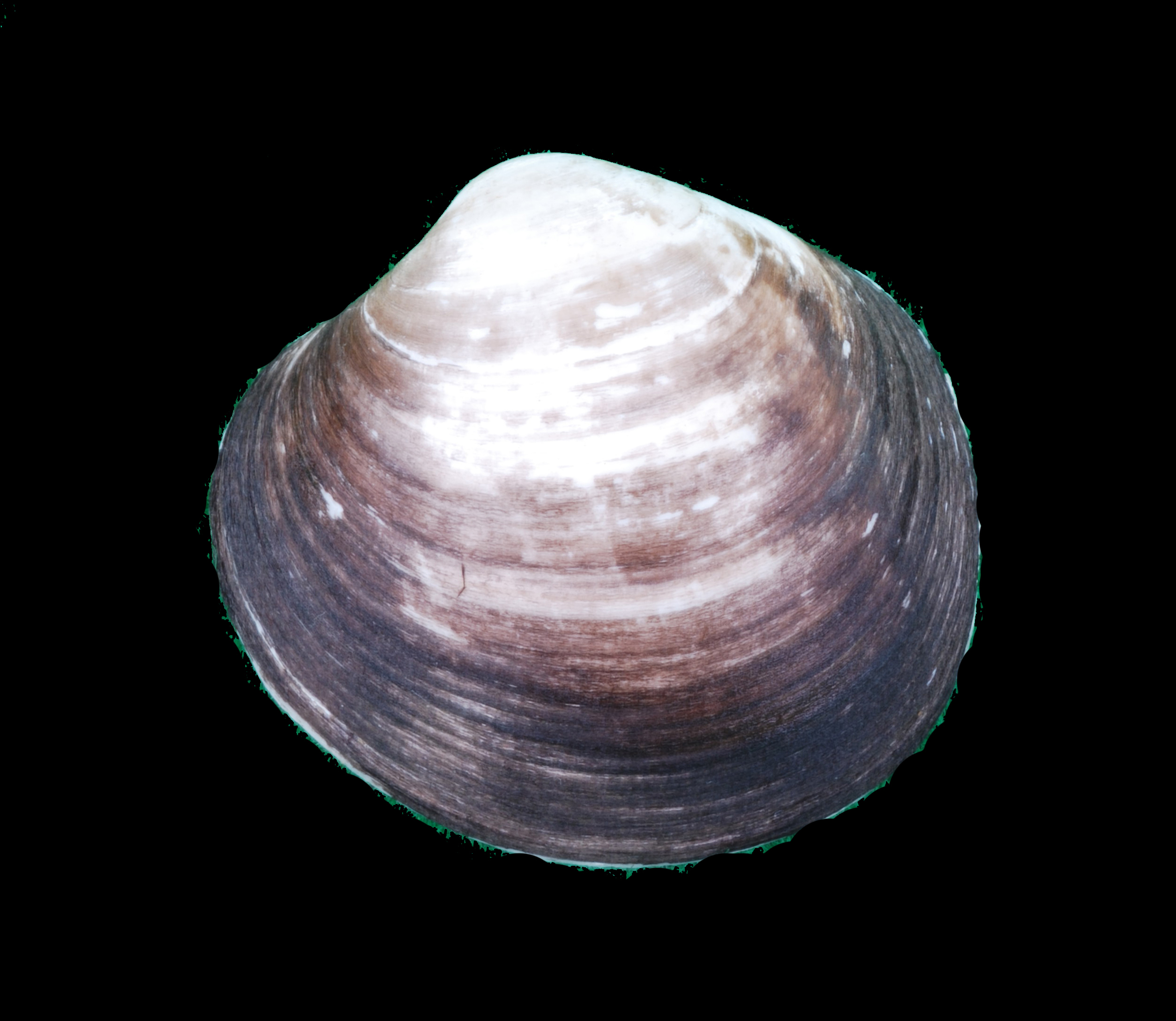 국립생물자원관 한반도의 생물다양성