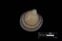 국립생물자원관 한반도의 생물다양성