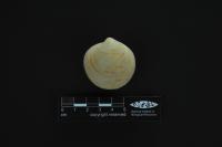 국립생물자원관 한반도의 생물다양성