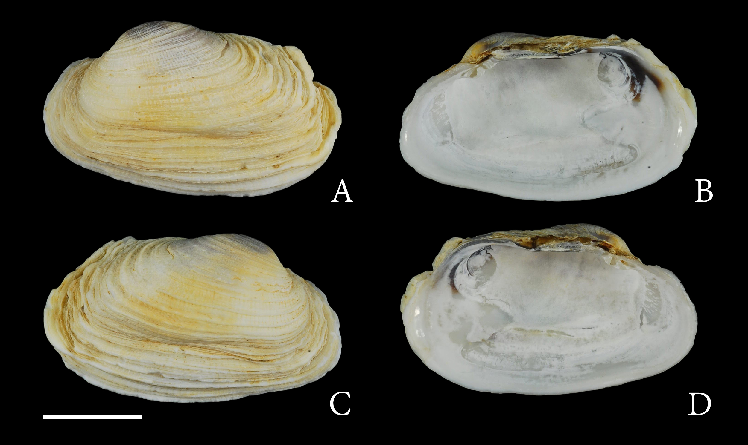 국립생물자원관 한반도의 생물다양성