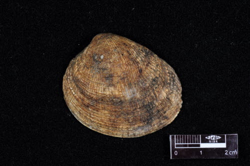 국립생물자원관 한반도의 생물다양성