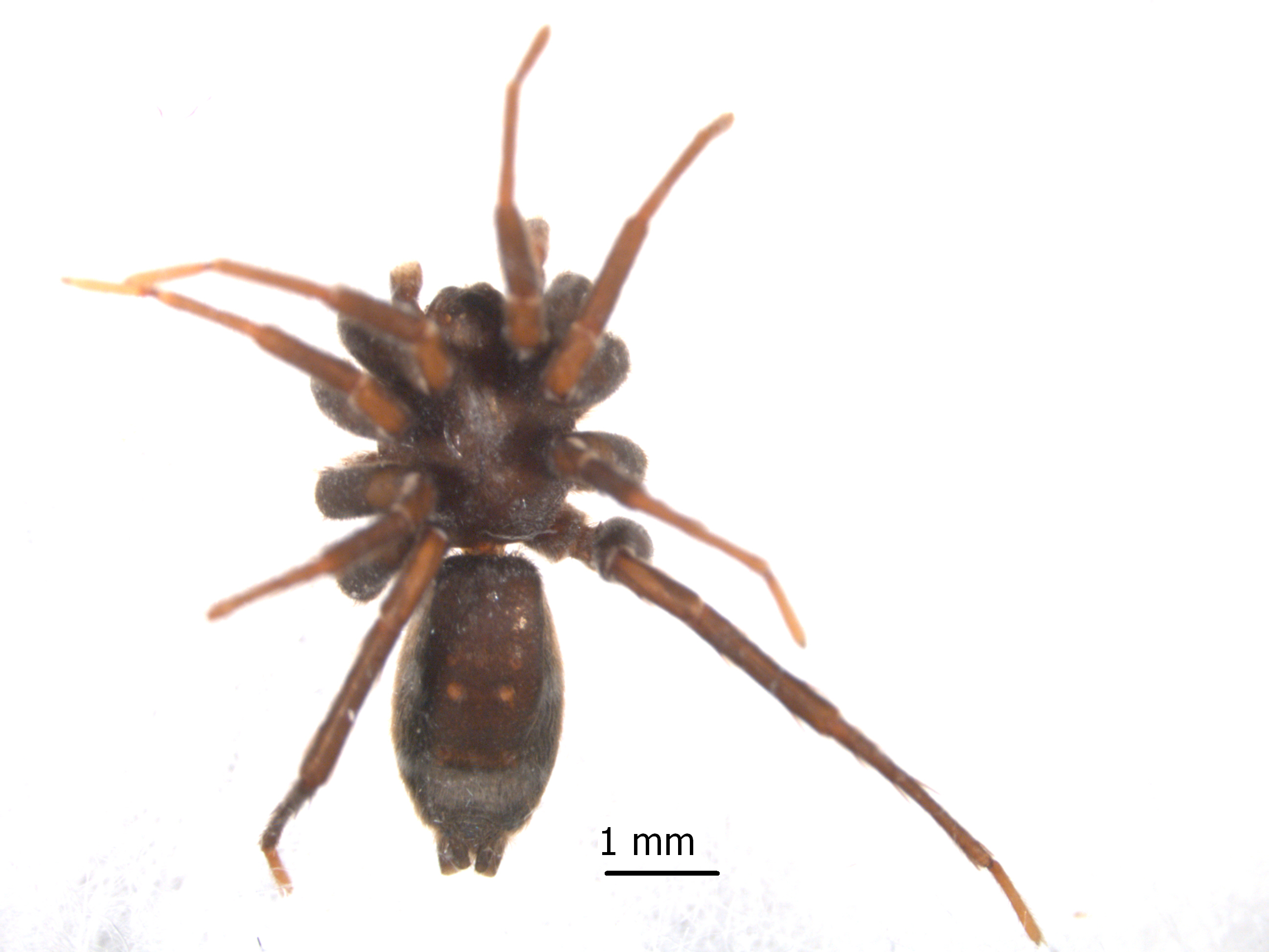 국립생물자원관 한반도의 생물다양성