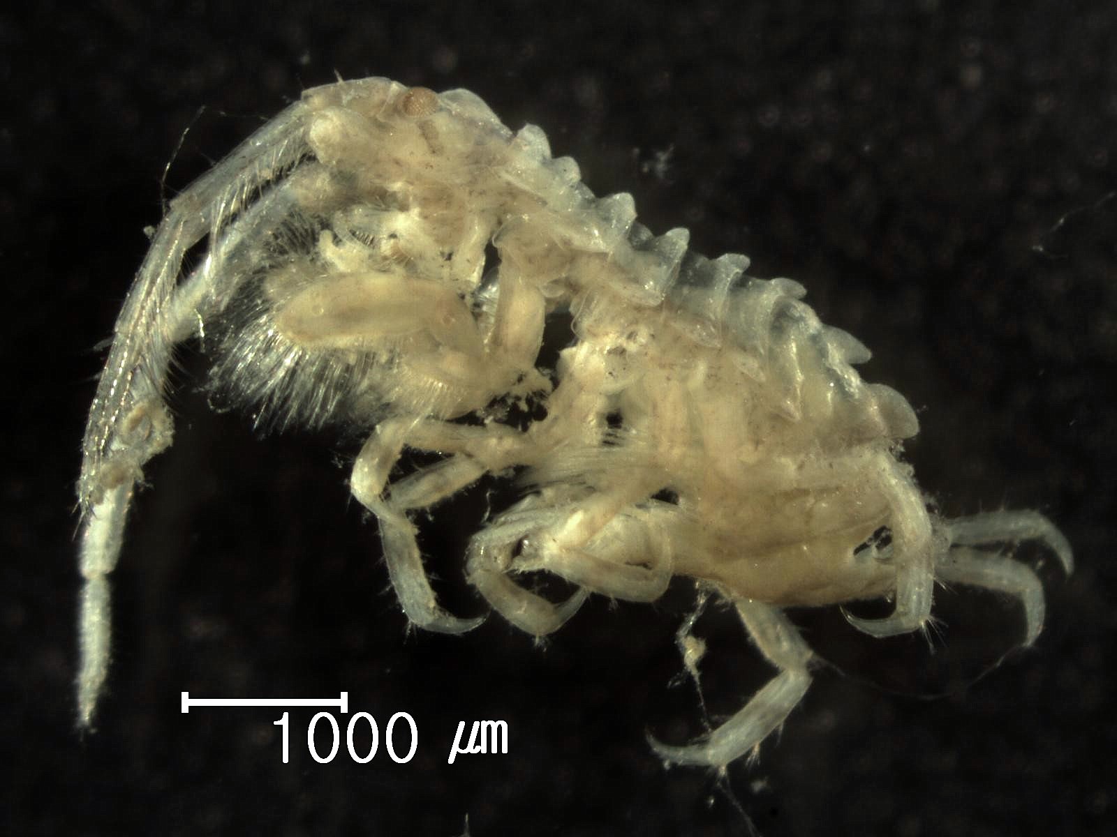 국립생물자원관 한반도의 생물다양성