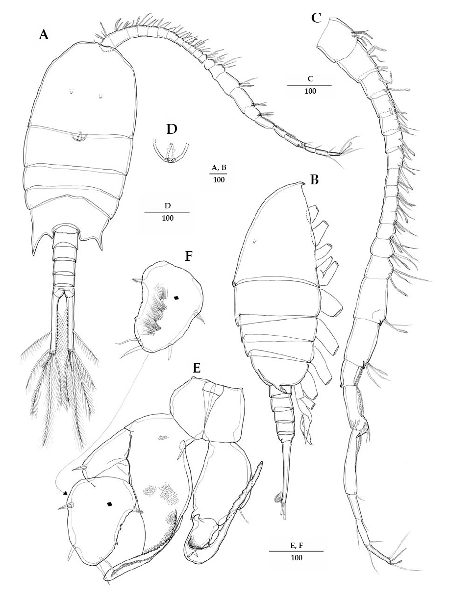 국립생물자원관 한반도의 생물다양성