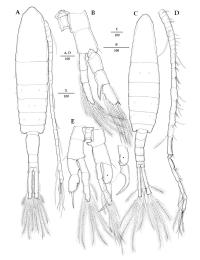 국립생물자원관 한반도의 생물다양성