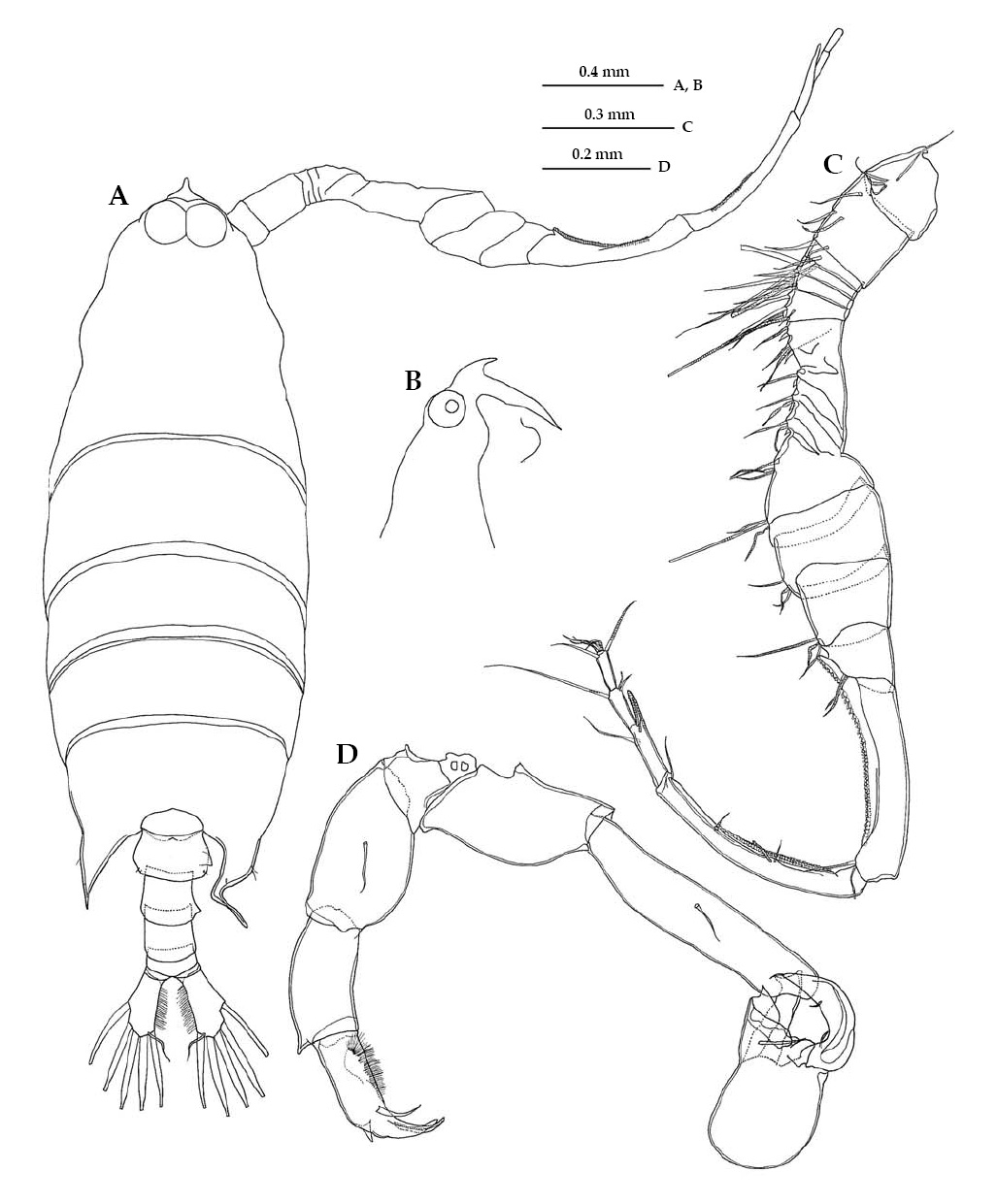 국립생물자원관 한반도의 생물다양성