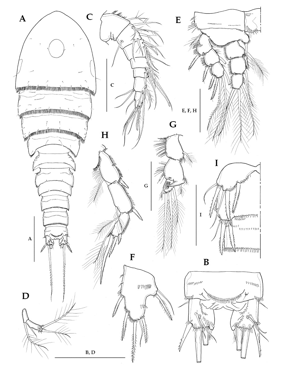 국립생물자원관 한반도의 생물다양성