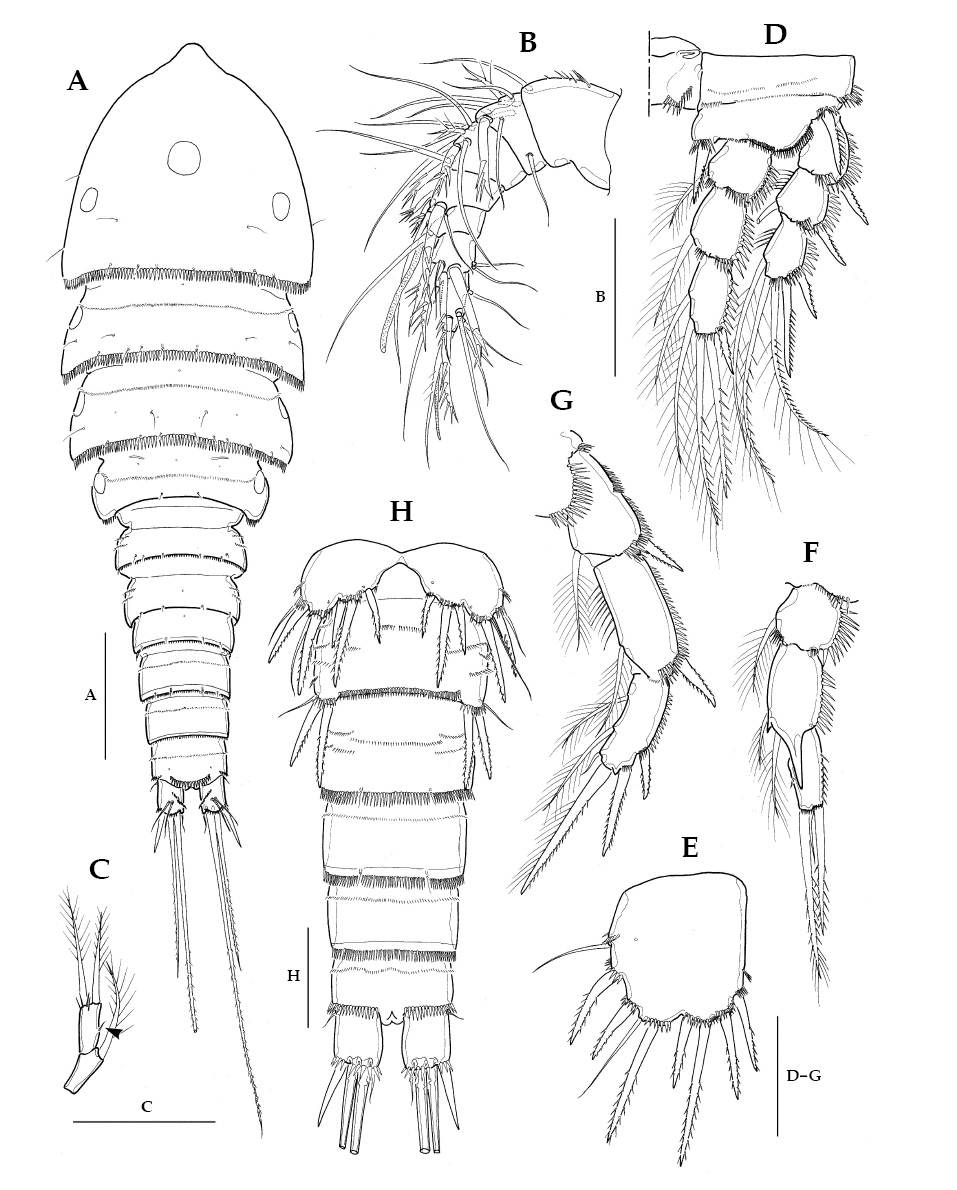 국립생물자원관 한반도의 생물다양성