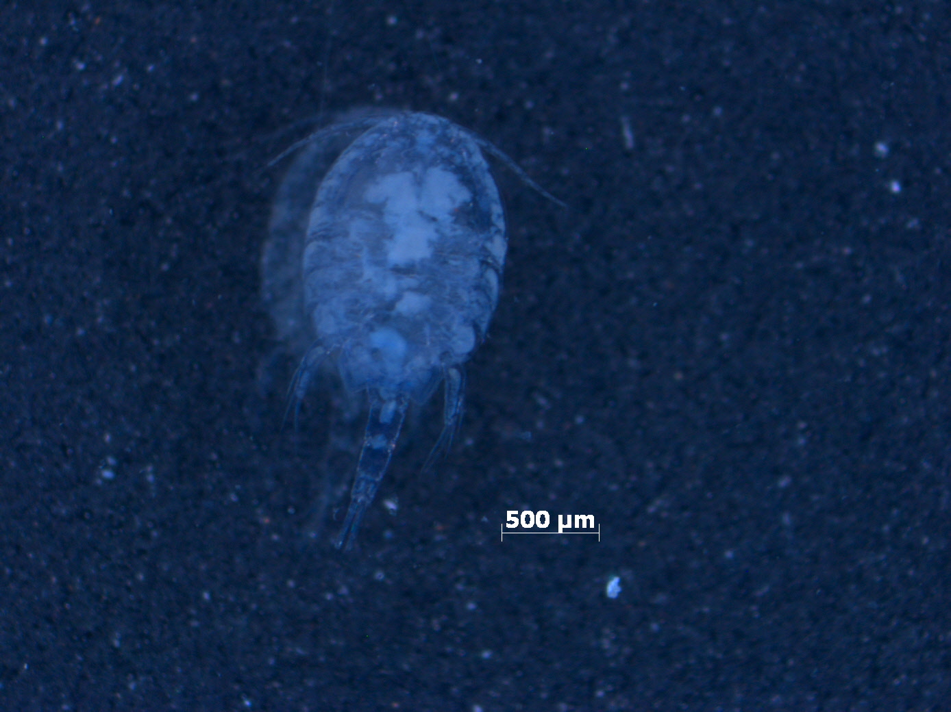 국립생물자원관 한반도의 생물다양성