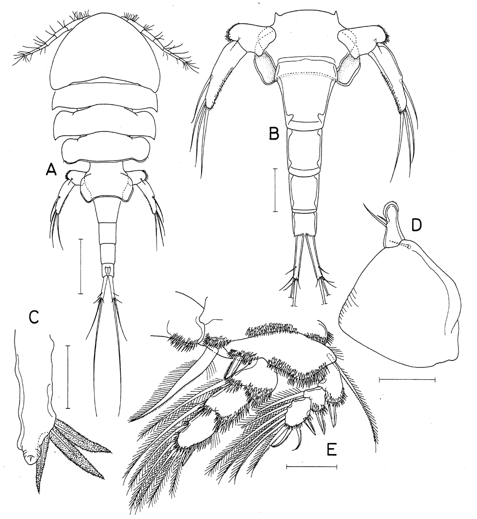 국립생물자원관 한반도의 생물다양성