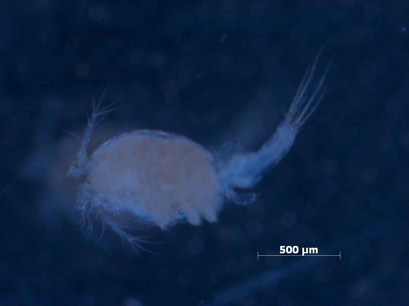 국립생물자원관 한반도의 생물다양성