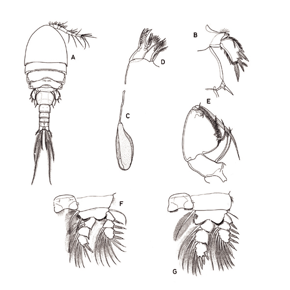 국립생물자원관 한반도의 생물다양성
