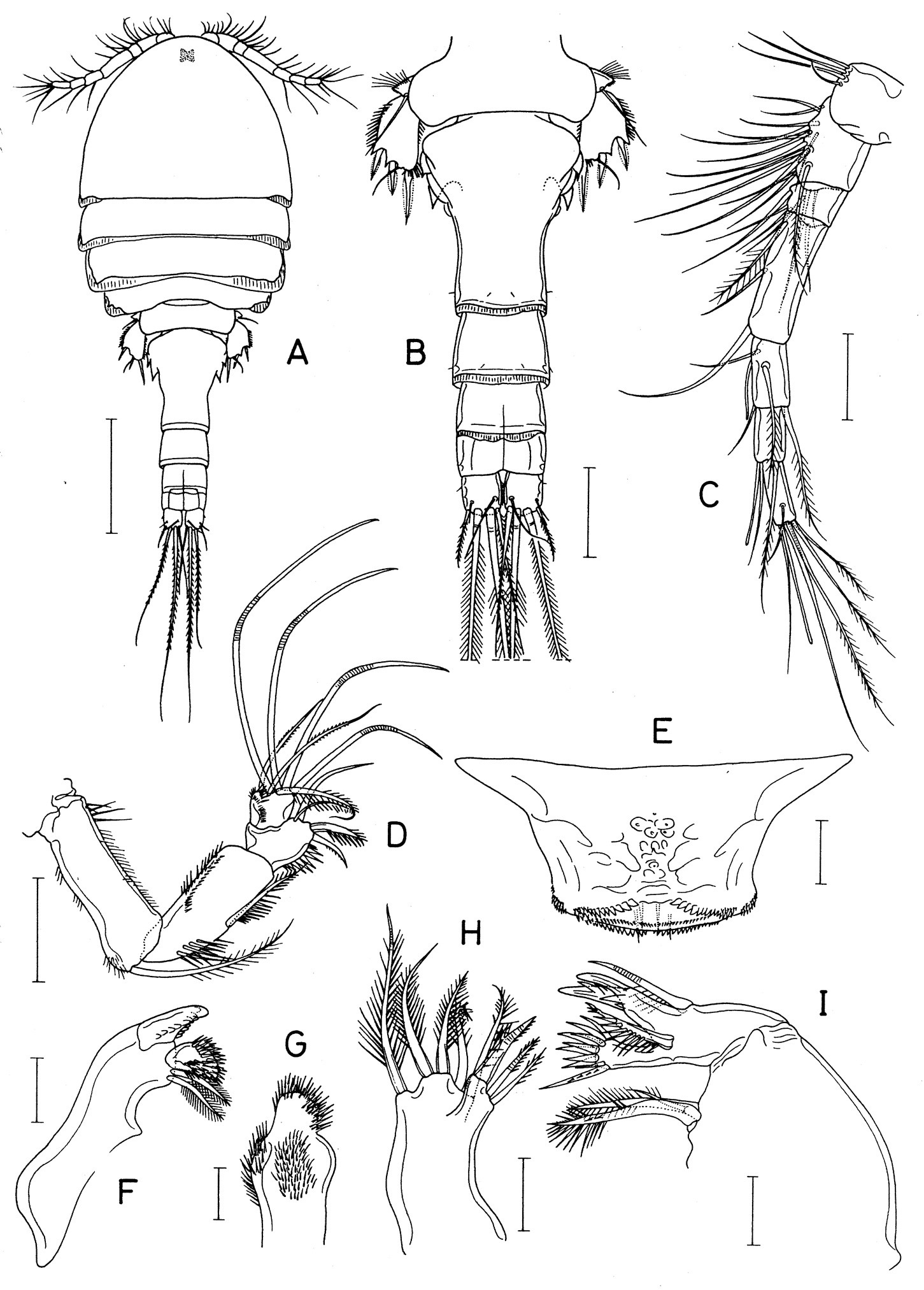 국립생물자원관 한반도의 생물다양성