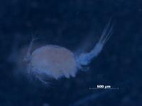 국립생물자원관 한반도의 생물다양성