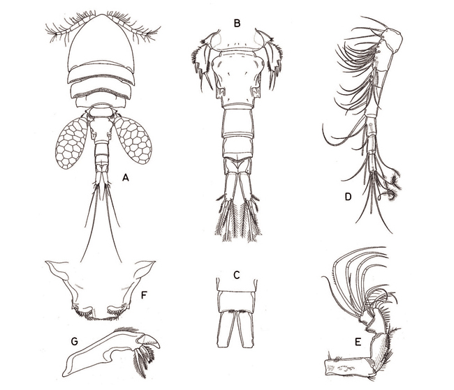 국립생물자원관 한반도의 생물다양성
