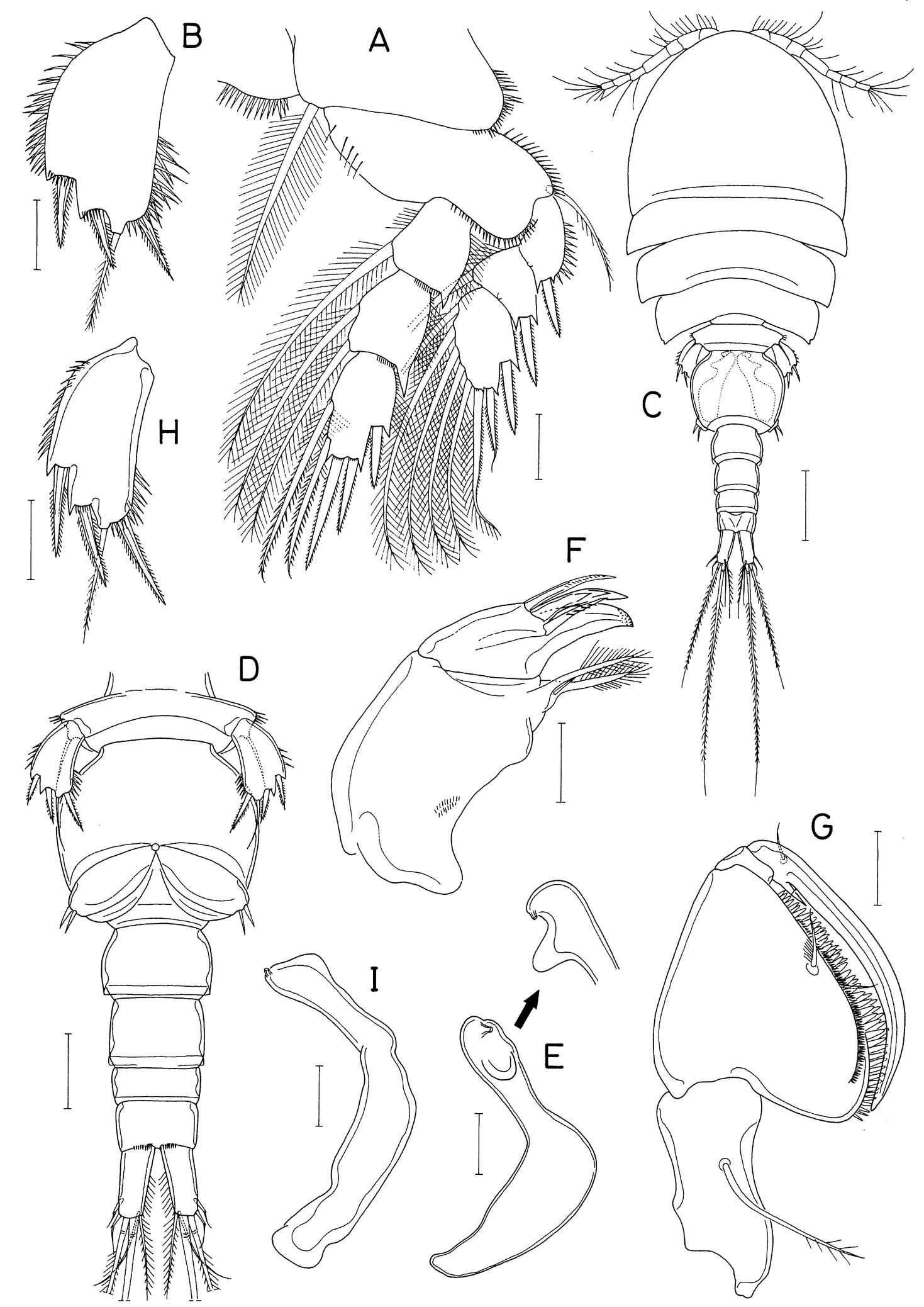 국립생물자원관 한반도의 생물다양성