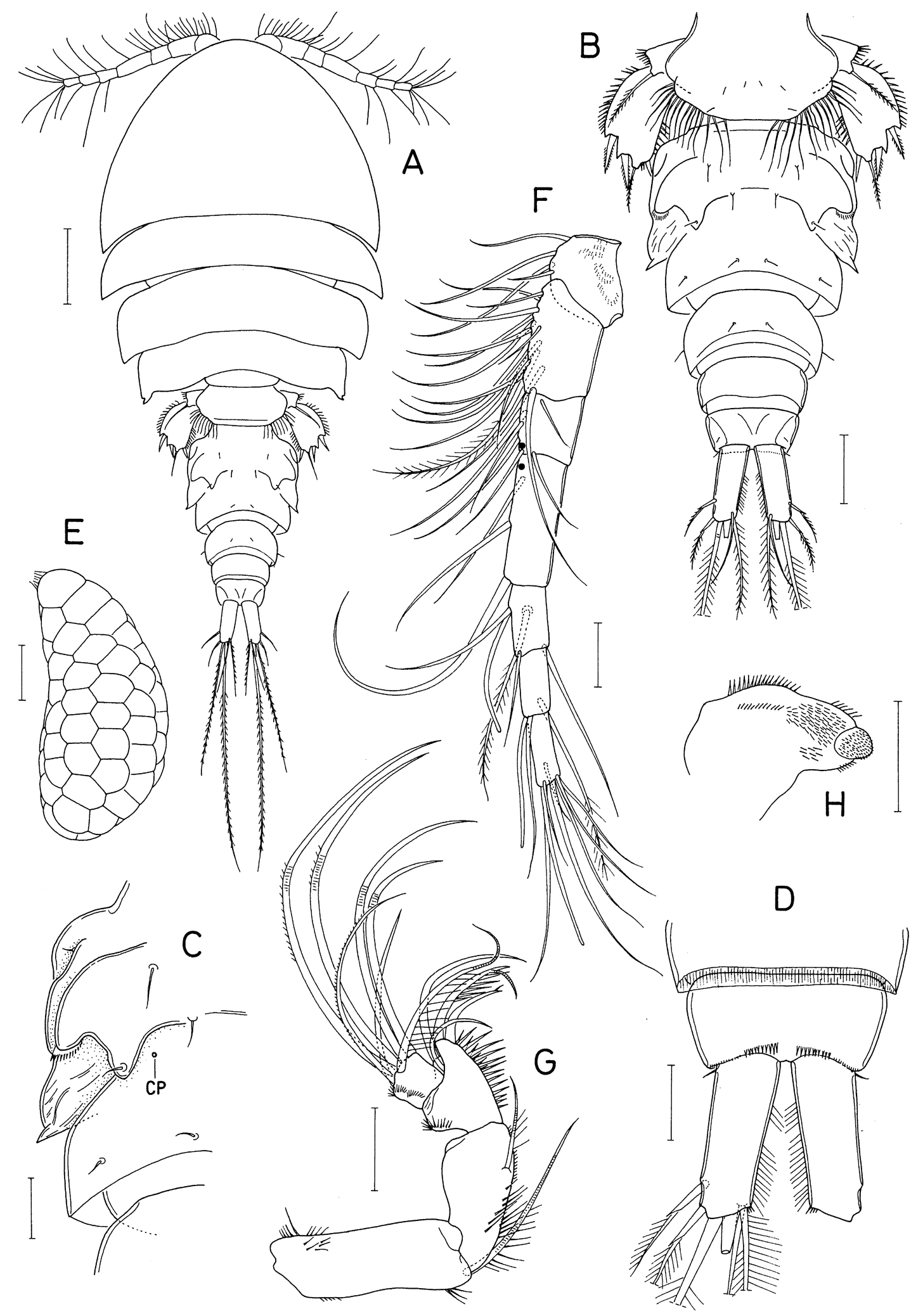 국립생물자원관 한반도의 생물다양성