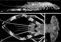 국립생물자원관 한반도의 생물다양성