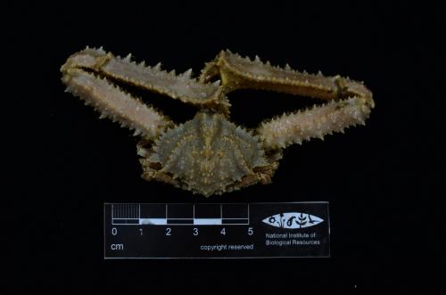 국립생물자원관 한반도의 생물다양성