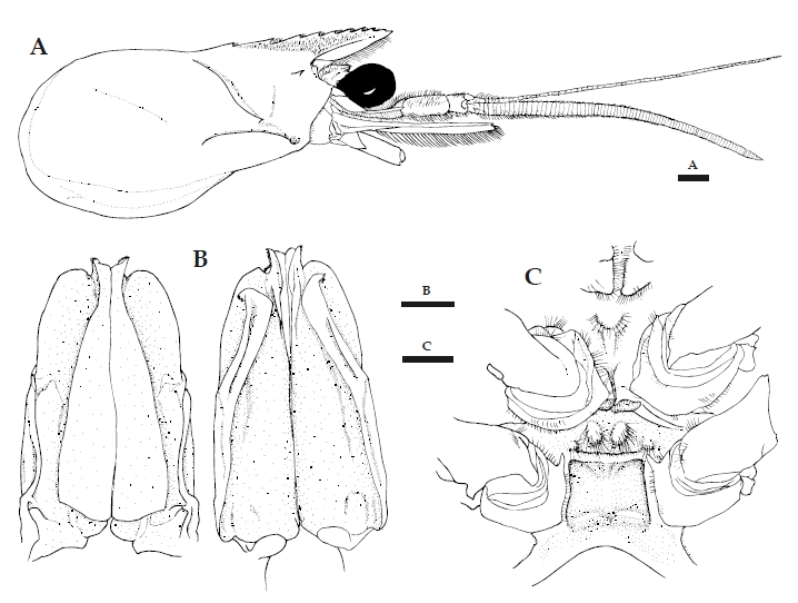 국립생물자원관 한반도의 생물다양성
