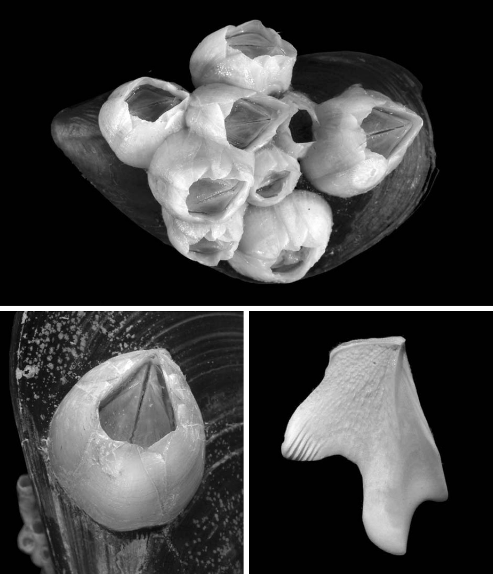 국립생물자원관 한반도의 생물다양성