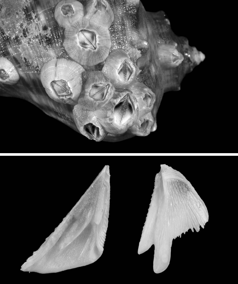 국립생물자원관 한반도의 생물다양성