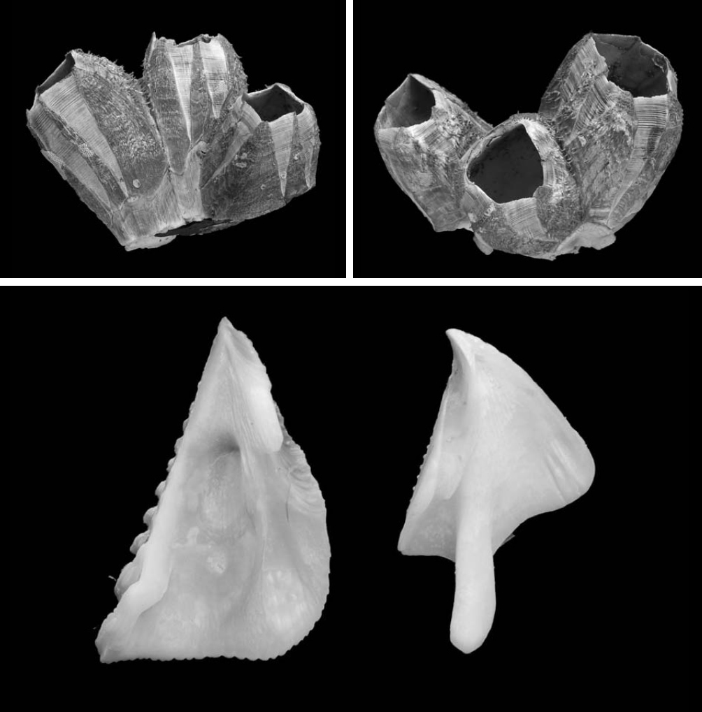 국립생물자원관 한반도의 생물다양성