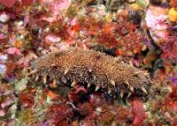 국립생물자원관 한반도의 생물다양성