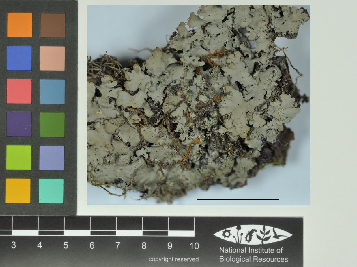 국립생물자원관 한반도의 생물다양성