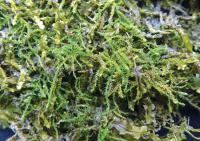 국립생물자원관 한반도의 생물다양성