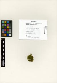 국립생물자원관 한반도의 생물다양성