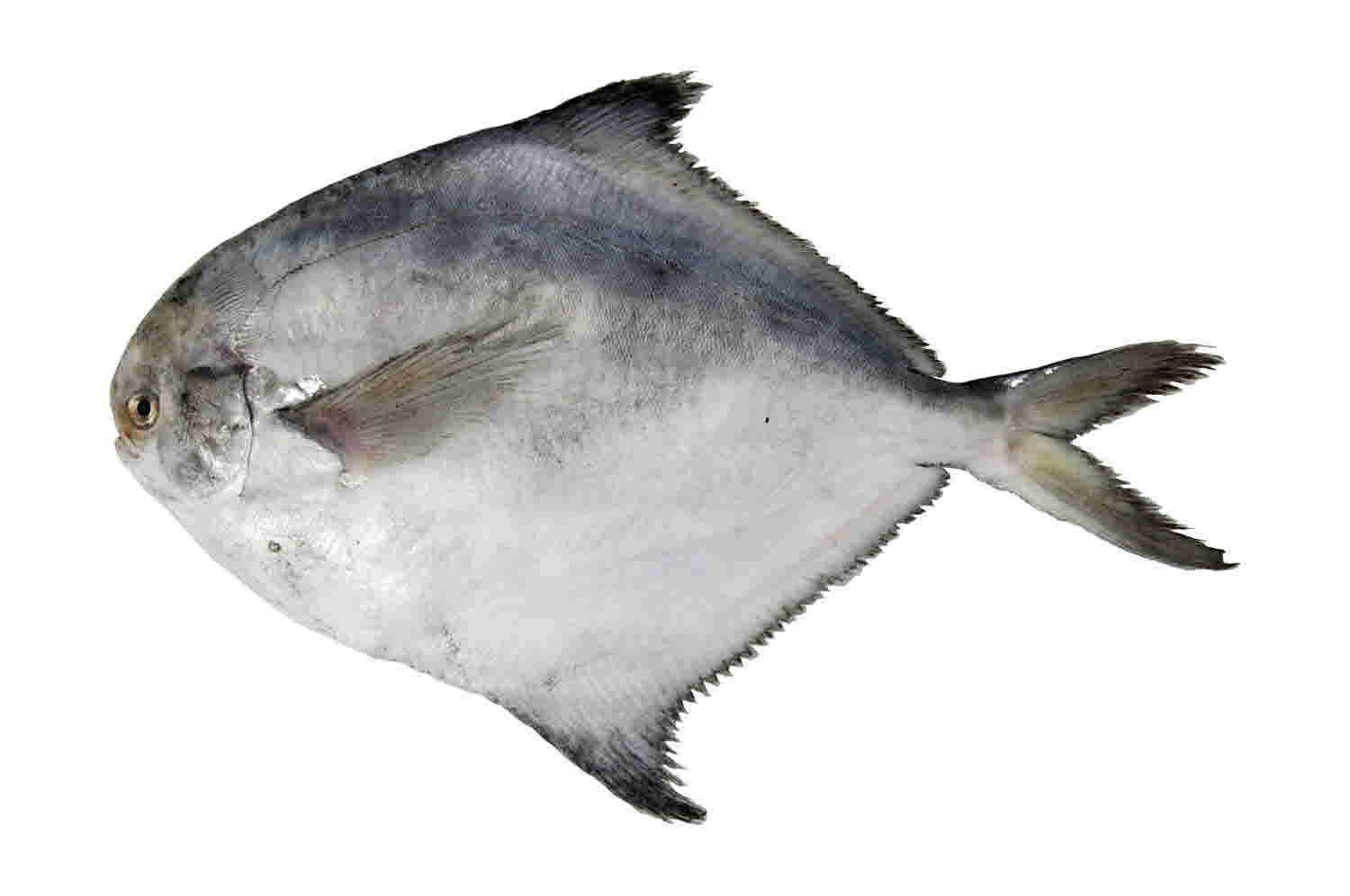 국립생물자원관 한반도의 생물다양성